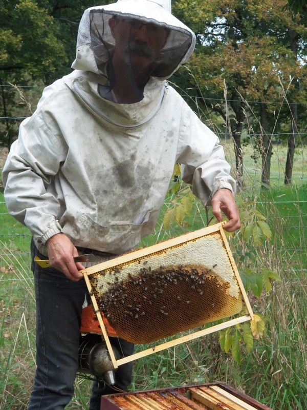 Le Rucher de la Roche aux Chênes